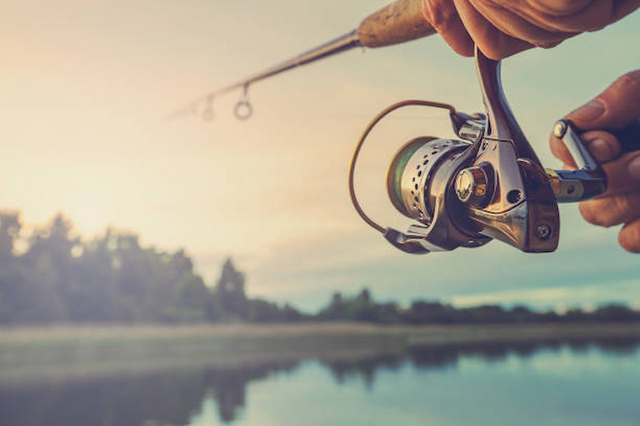 A Practical Guide to Navigating Freshwater Fishing Rods | The Suggested